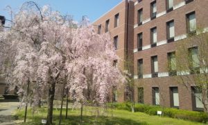 今堀さんと小田さんがIEEE VTS Tokyo/Japan Chapter 2025 Young Researcher’s ...